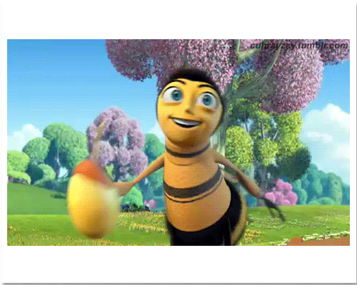 How Animals See Colors Compared to Humans | The Odyssey Online