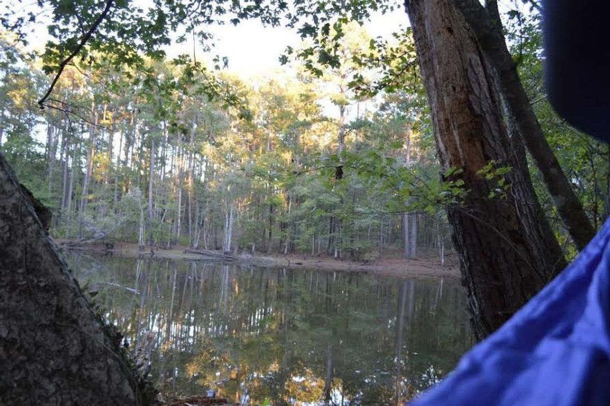 The Best Things About Spring | The Odyssey Online