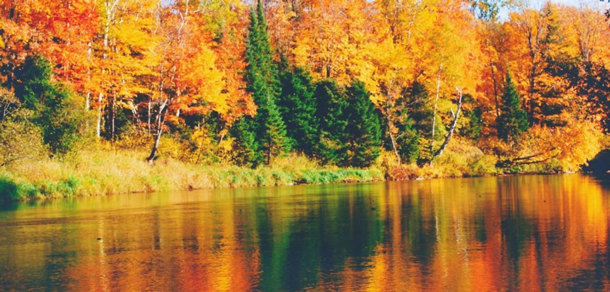 20 Signs You Know Fall Is Here | The Odyssey Online