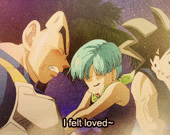 10 Important Lessons Vegeta And Bulma Taught Me About Love | The ...