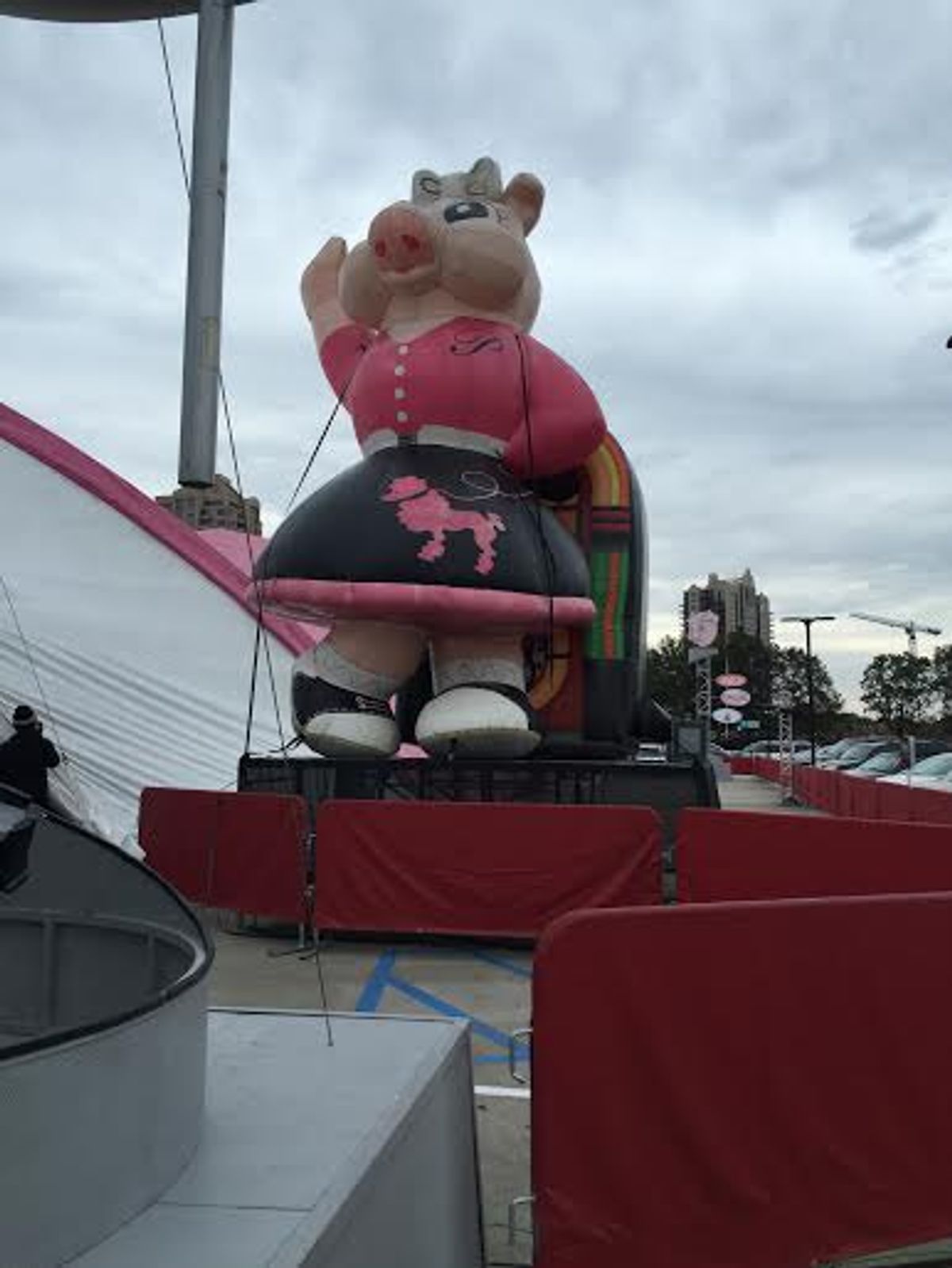The Tradition Of Pink Pig Continues To Thrive | The Odyssey Online