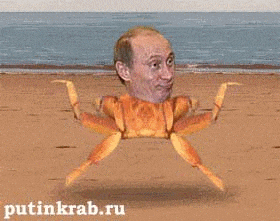 Top 21 Putin Gifs