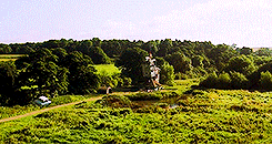 Harry Potter A-Z | The Odyssey Online