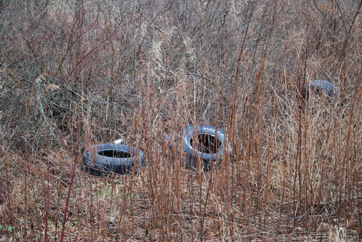 An Open Letter To People Who Neglect The Environment | The Odyssey Online