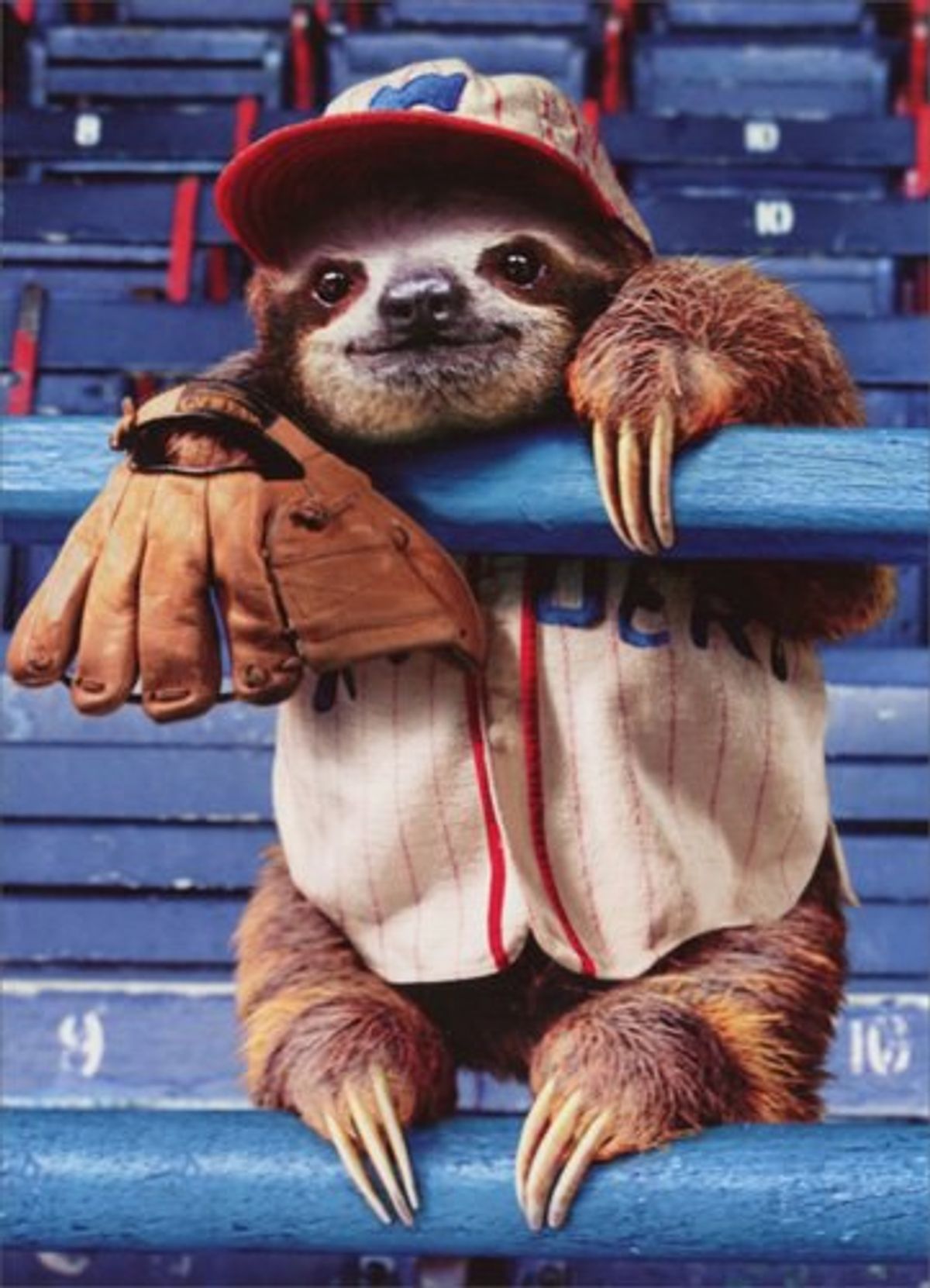 The Life Of A College Athlete, As Told By Sloths | The Odyssey Online