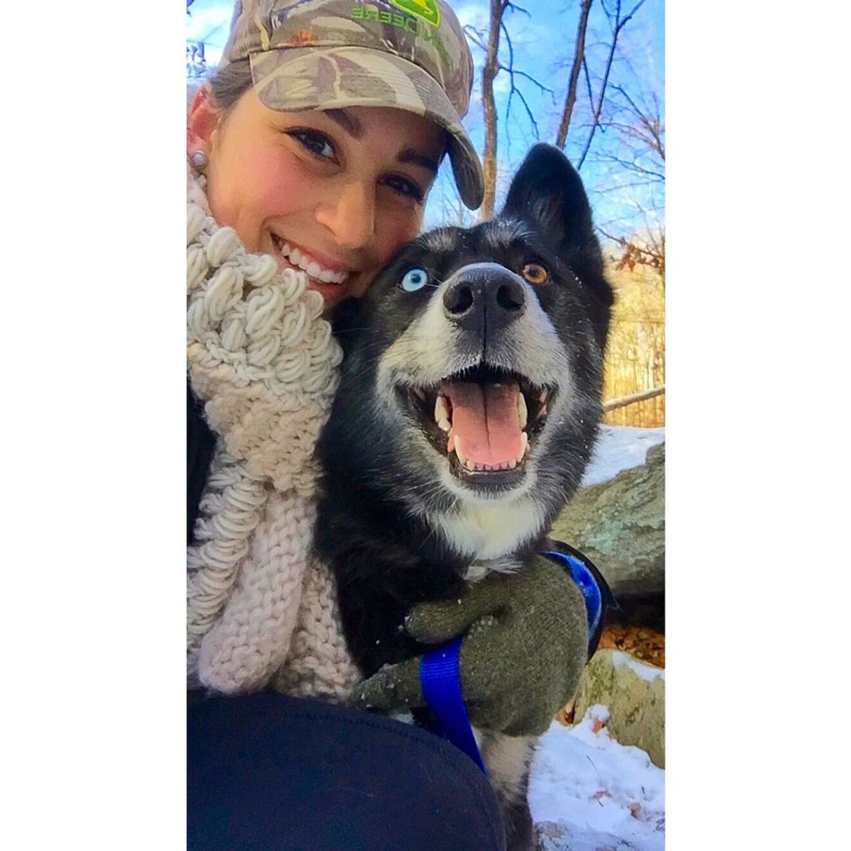 The Day I Fell in Love With A Dog | The Odyssey Online