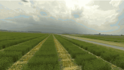 11 Life Lessons I've Learned From Living On A Farm