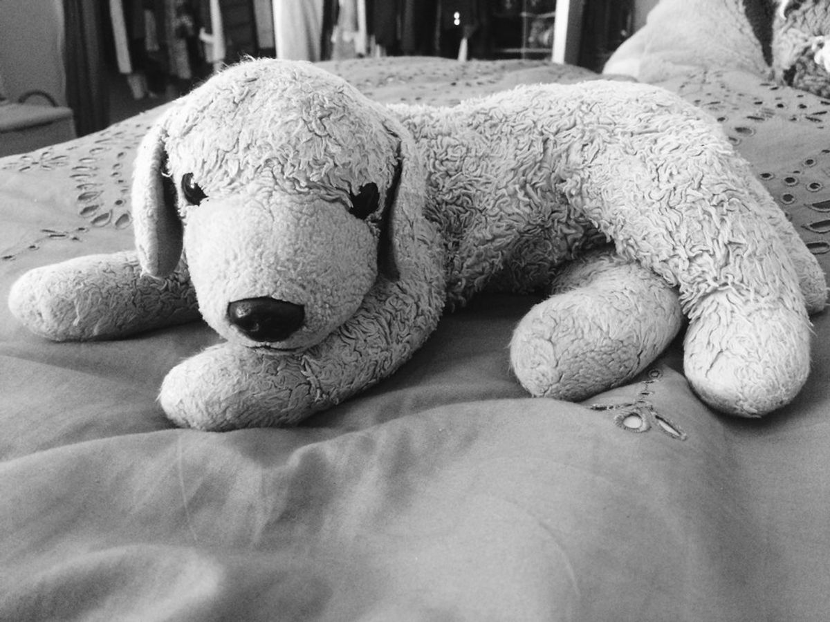 A Letter To My Childhood Stuffed Animal | The Odyssey Online