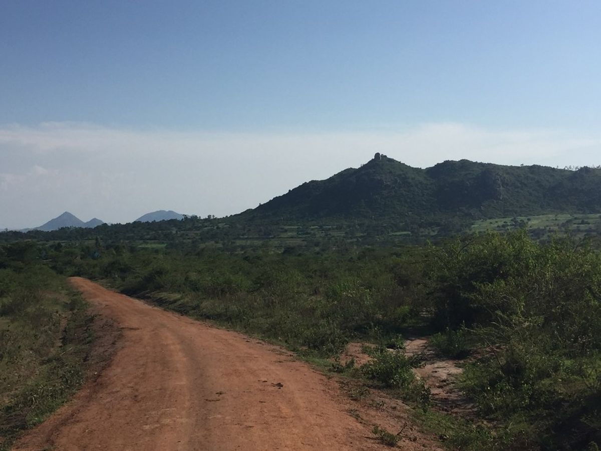 Beginner's Guide To Getting Your Life Together | The Odyssey Online