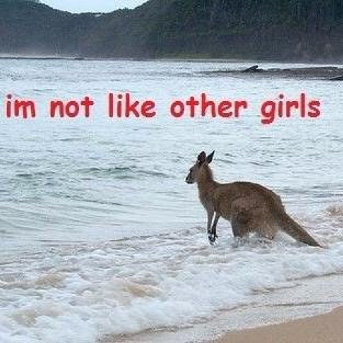 25 Best Tweets from Odyssey Rejects | The Odyssey Online