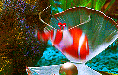 Life As A Biology Major As Told By 'Finding Nemo' | The Odyssey Online