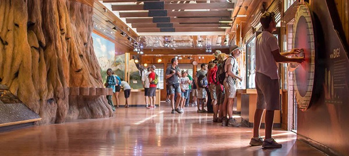 Why You Should Take Your Children To Your Local Nature Center | The ...