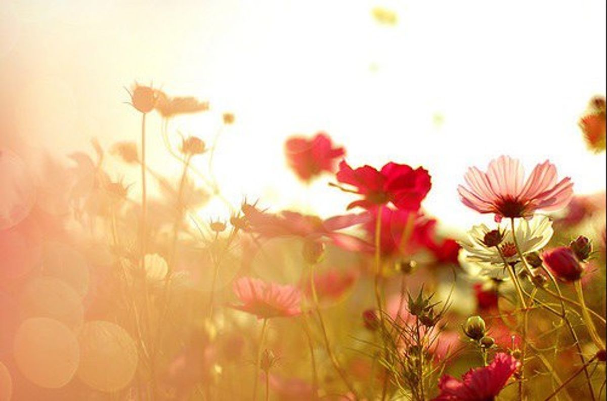 A Few Reasons Why Life Is So Good | The Odyssey Online