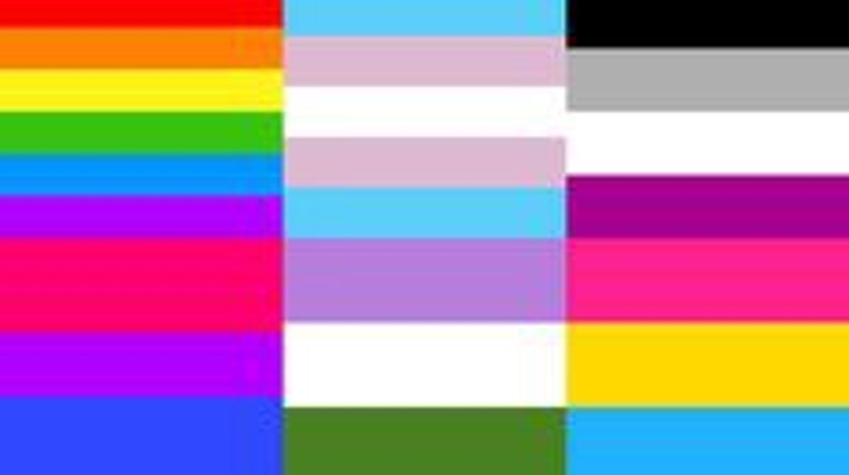 5 Gender/Sexuality Flags You Need to Know | The Odyssey Online