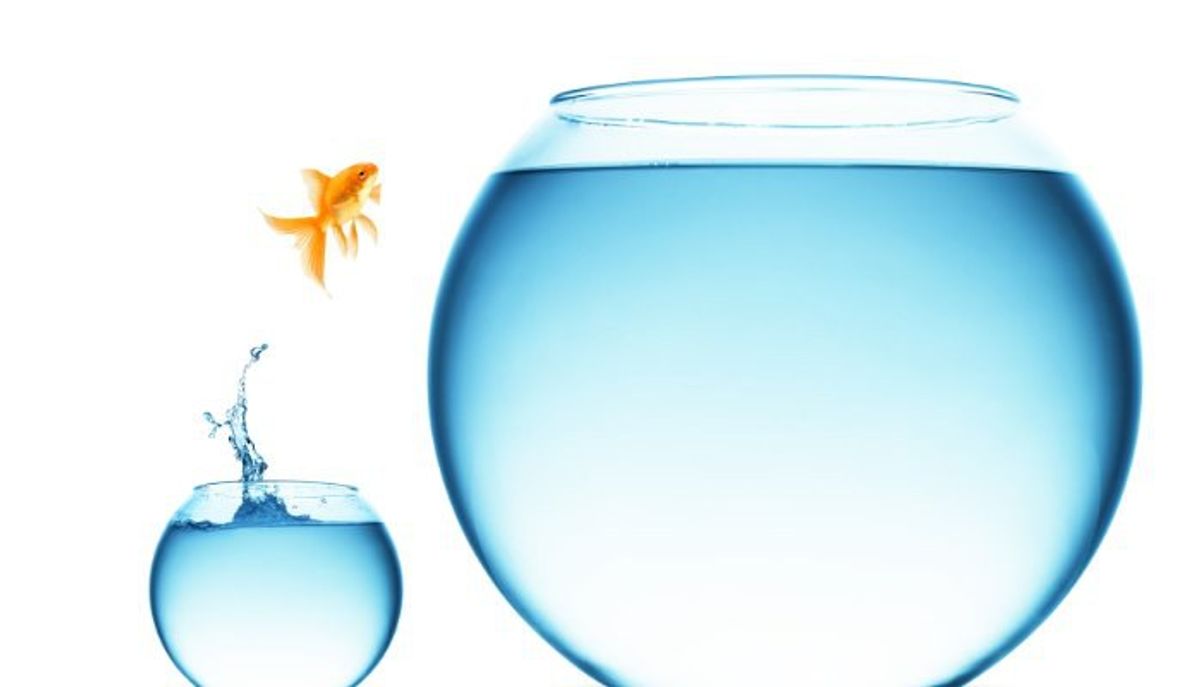 5 Reasons Why You Should Take Risks