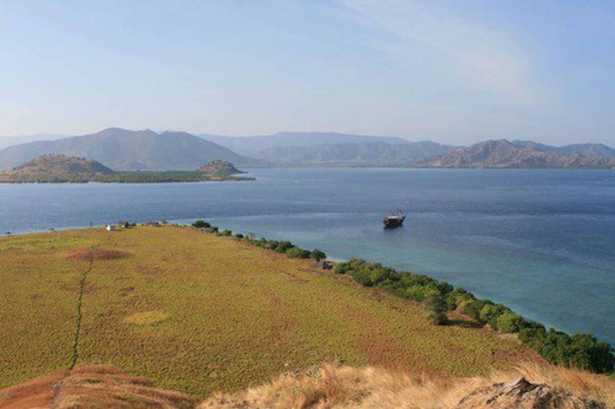 The Cyclical Nature Of Life