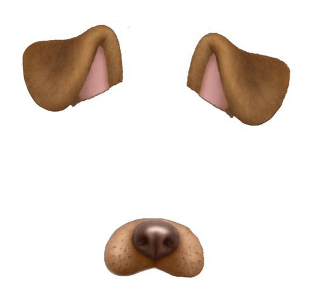 Please Stop Hating The Dog Filter | The Odyssey Online