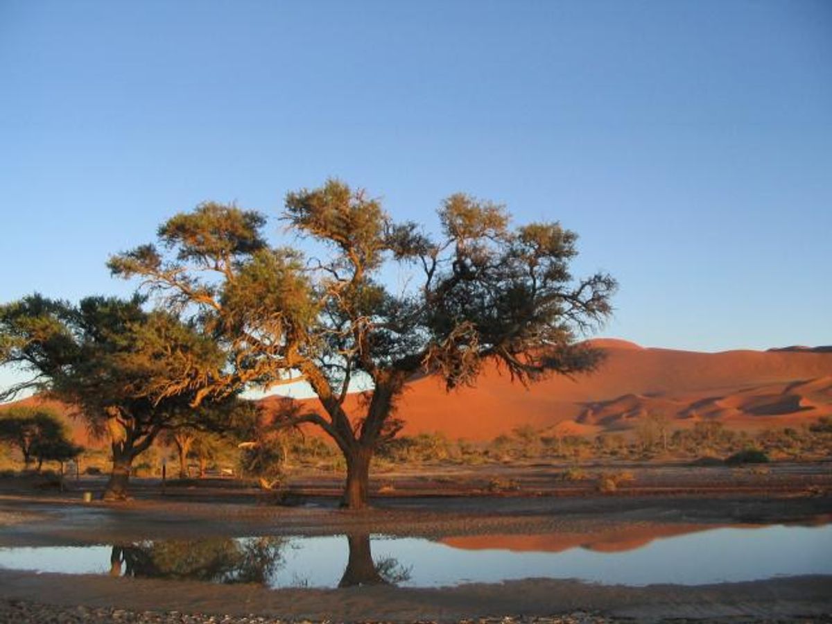 Signs Of Water In A Desert | The Odyssey Online