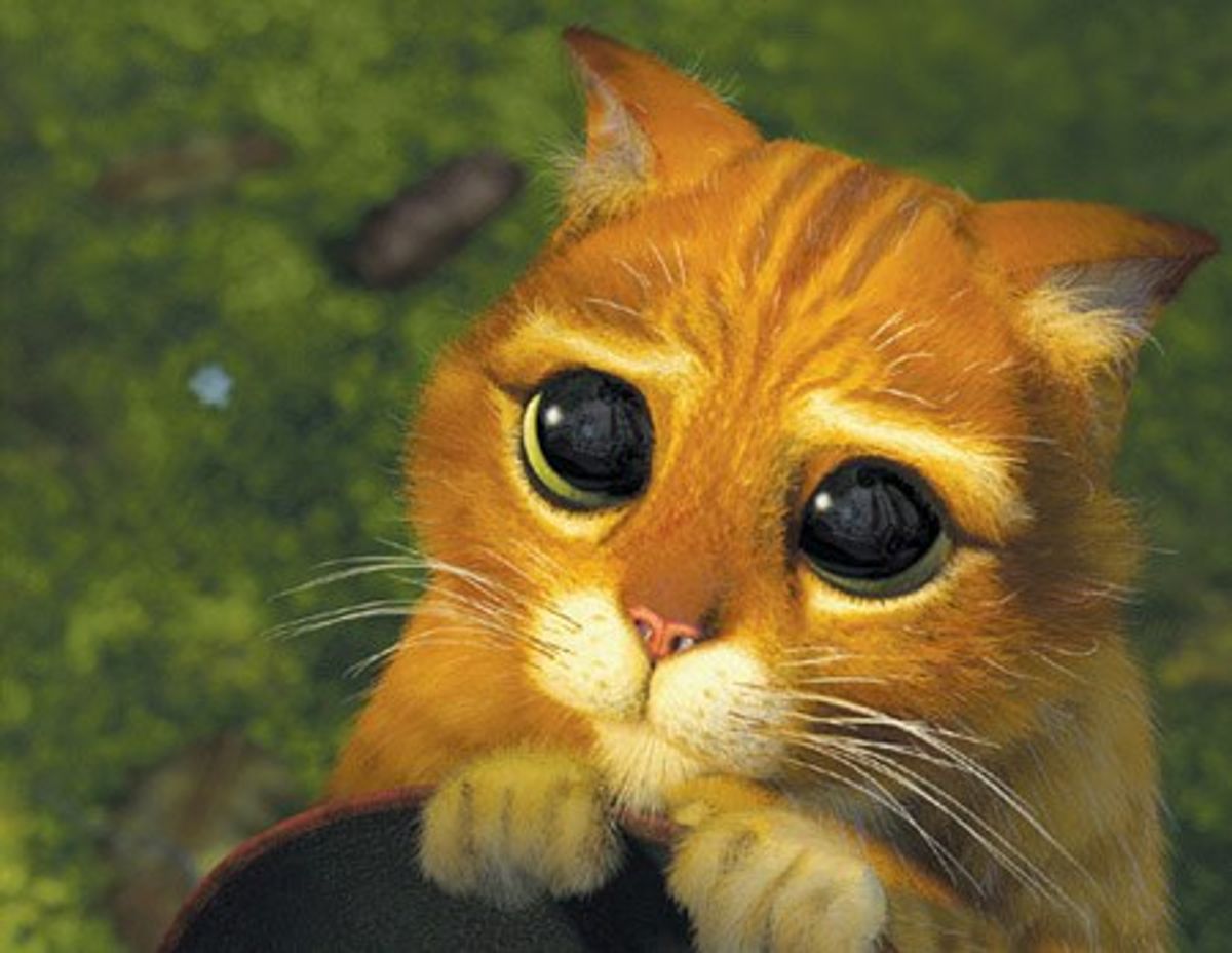 10 Life Lessons From Watching "Shrek" | The Odyssey Online