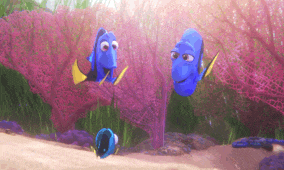 6 Reasons We All Need To See "Finding Dory"