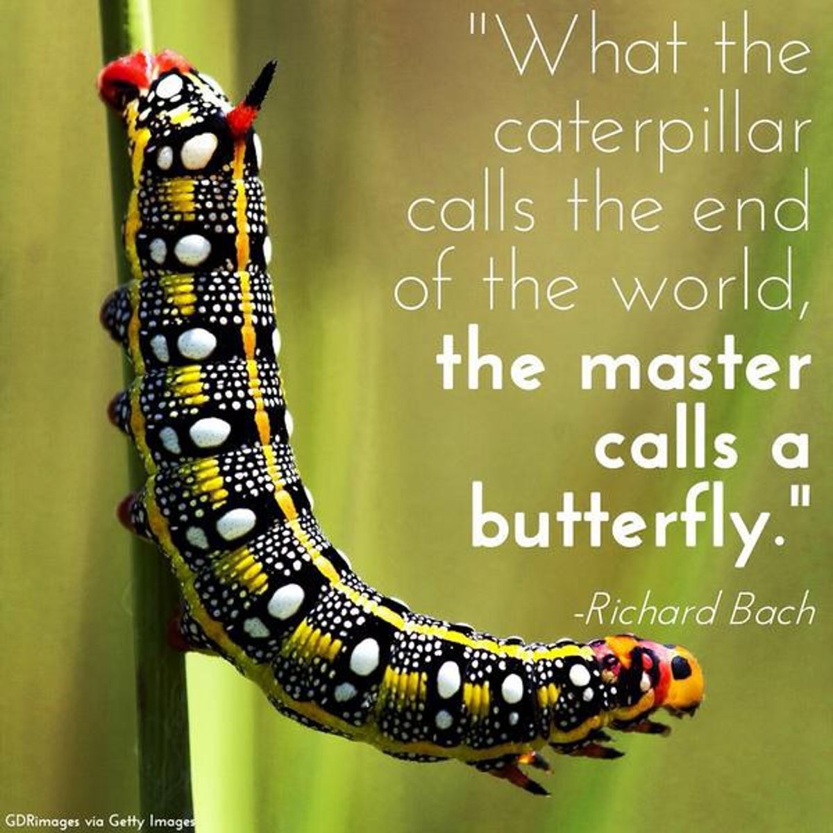 Why Change Is So Difficult