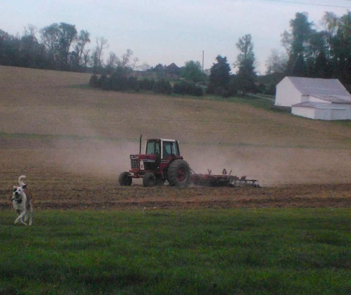 A World Without Agriculture | The Odyssey Online