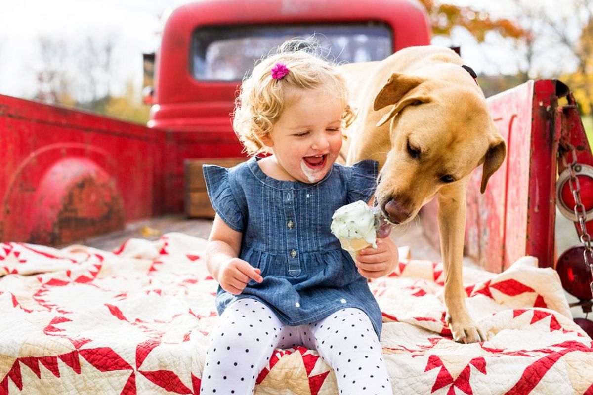 17 Signs You're Obsessed With Dogs