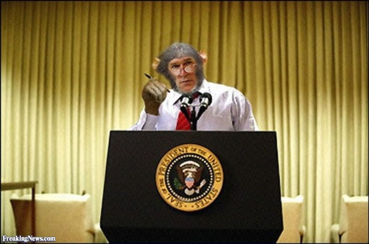 6 Reasons Why A Monkey Should Run For President | The Odyssey Online