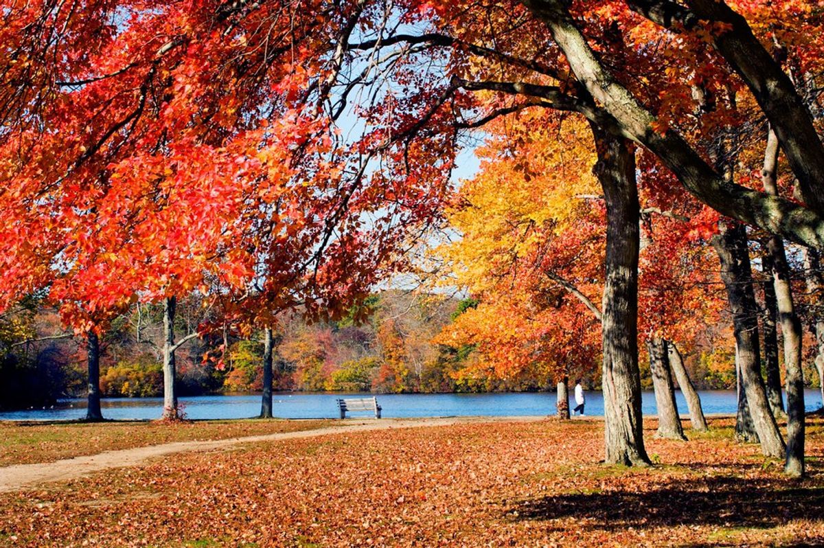 10 Activities To Add To Your Long Island Fall Bucket List | The Odyssey ...