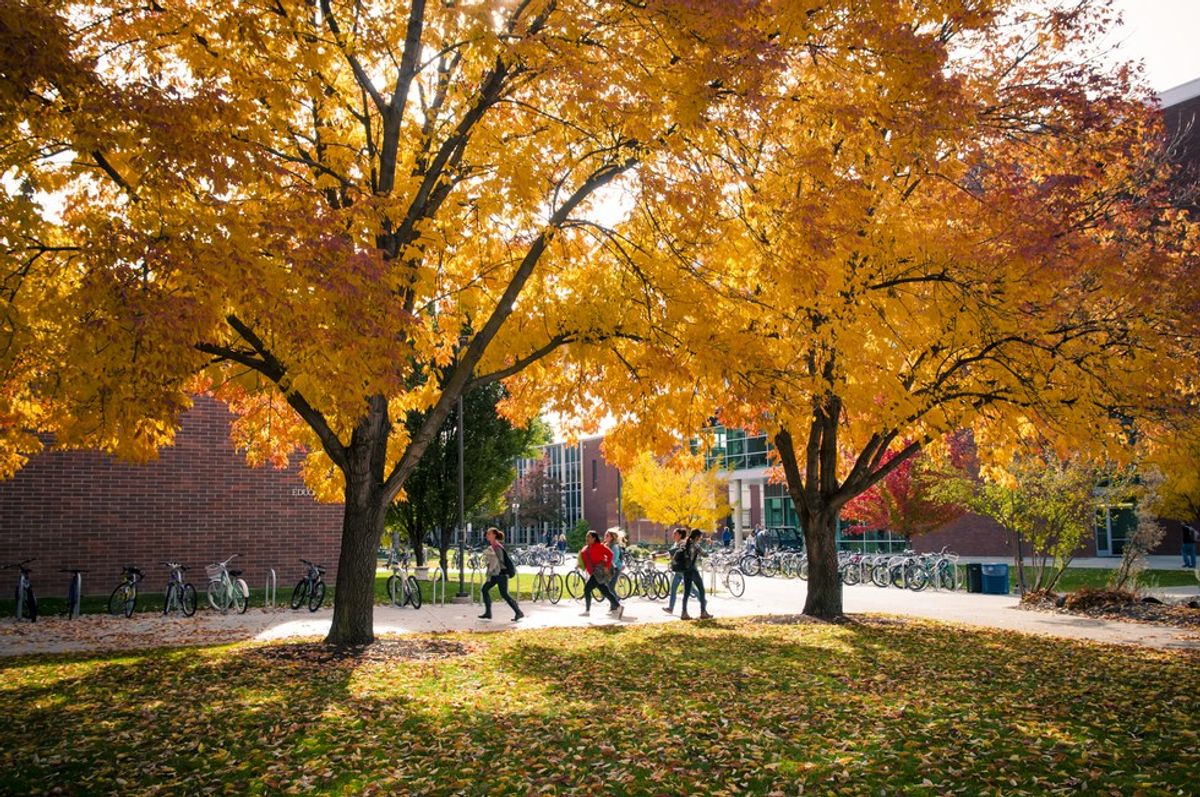 The Best Things About Midterm Break