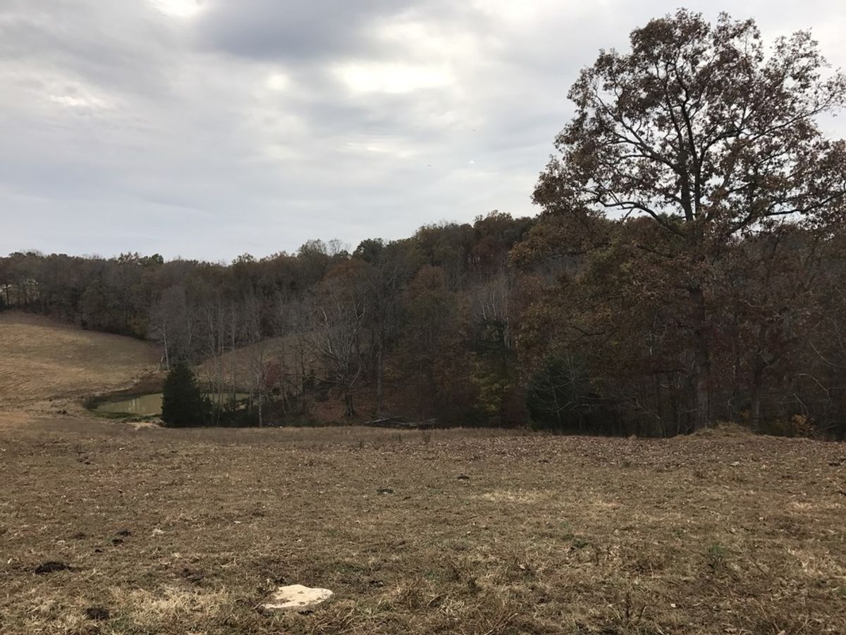 Tour Of Small Town Irvine, Kentucky | The Odyssey Online