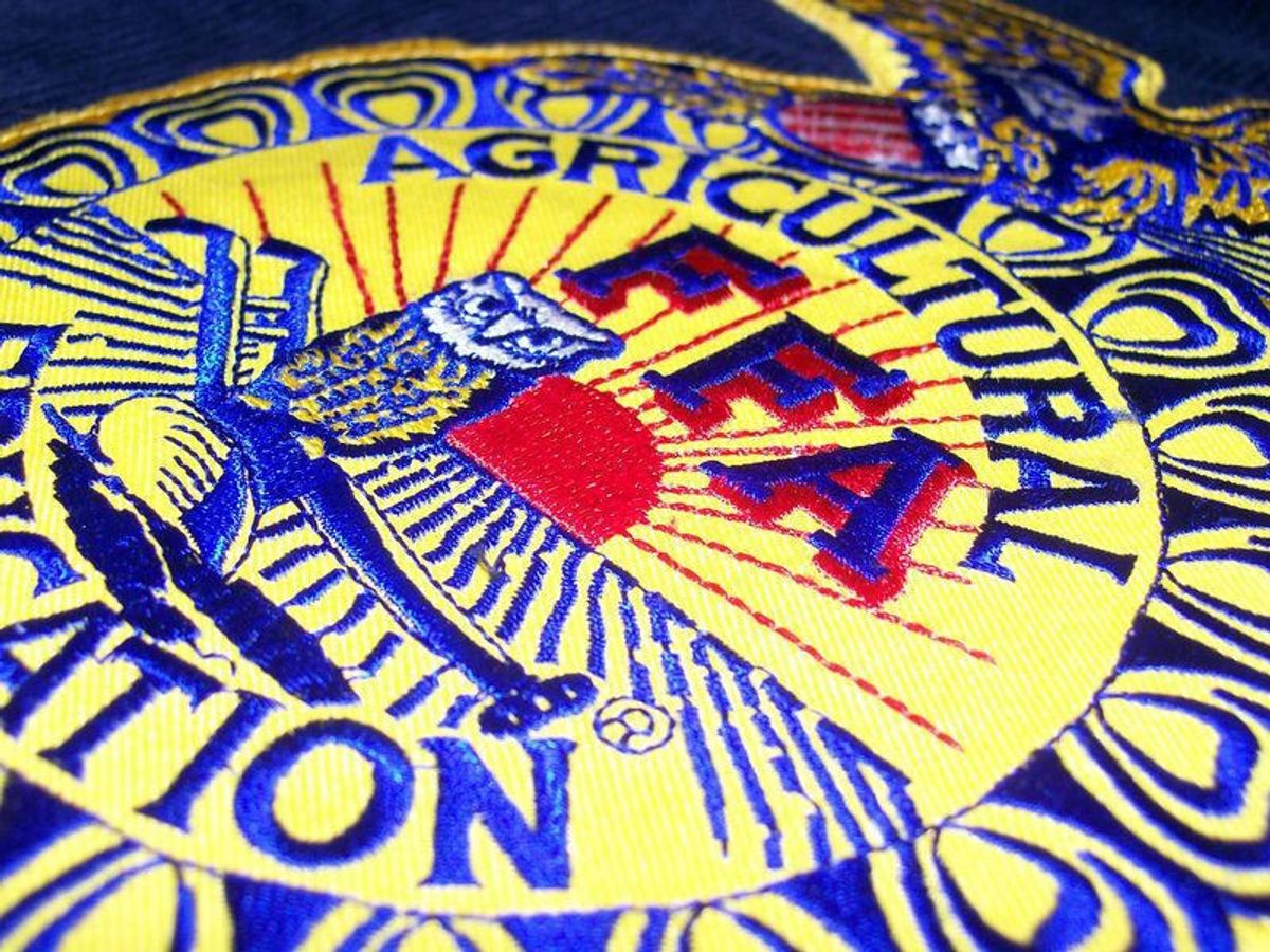 FFA Members, Why Are We Here? | The Odyssey Online