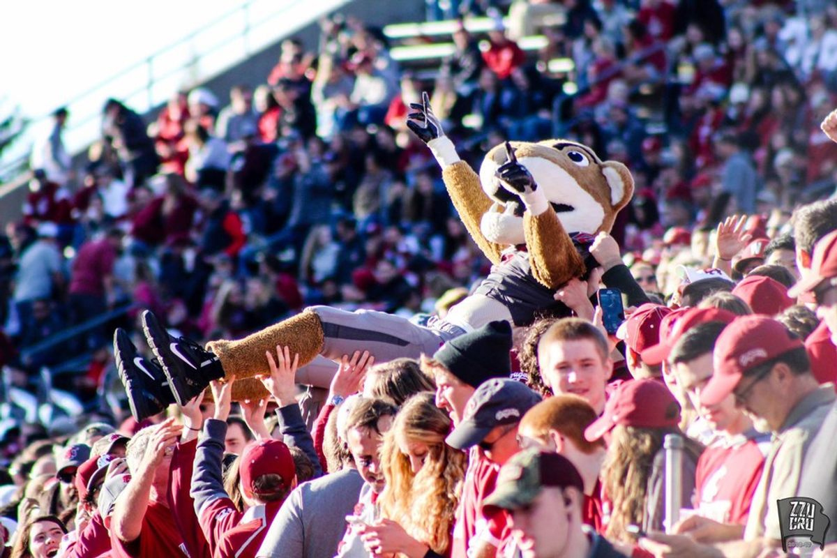 10 Times the Cougs weren’t the only ones who “Couged it” | The Odyssey ...