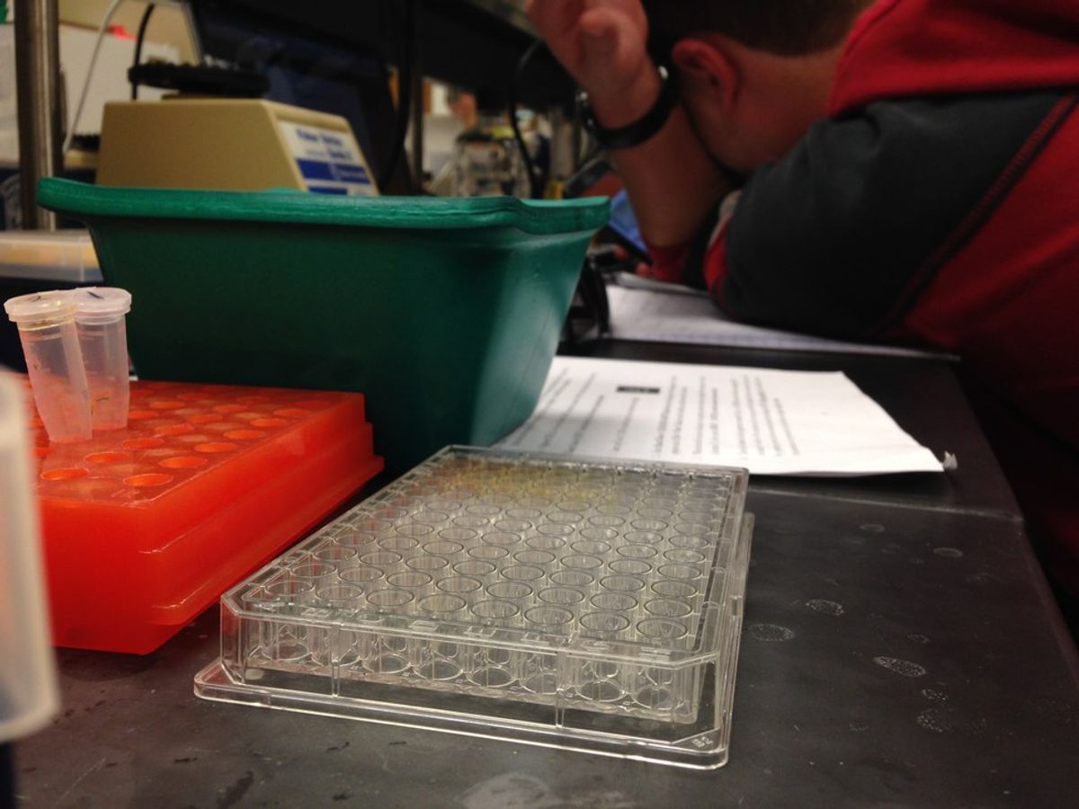 Lessons Learned from Lab Partners | The Odyssey Online