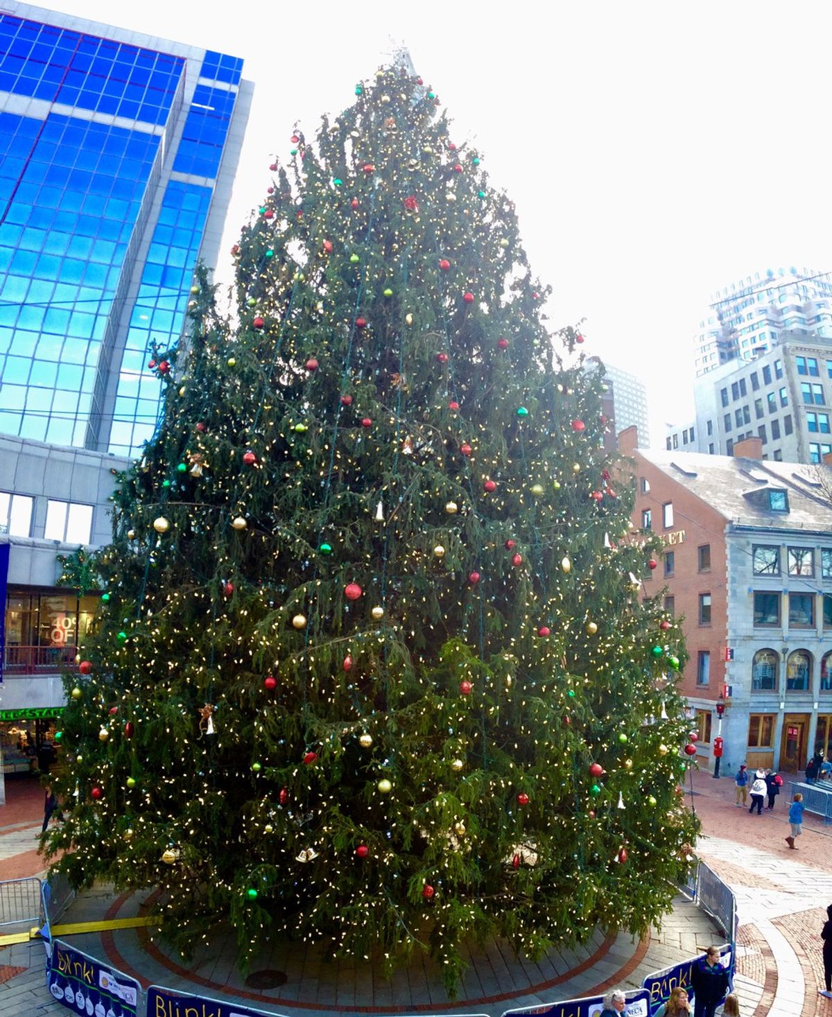Free Winter Adventures In Boston | The Odyssey Online