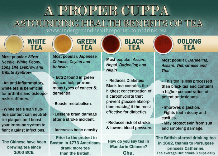A Complete Beginner's Guide To Tea | The Odyssey Online