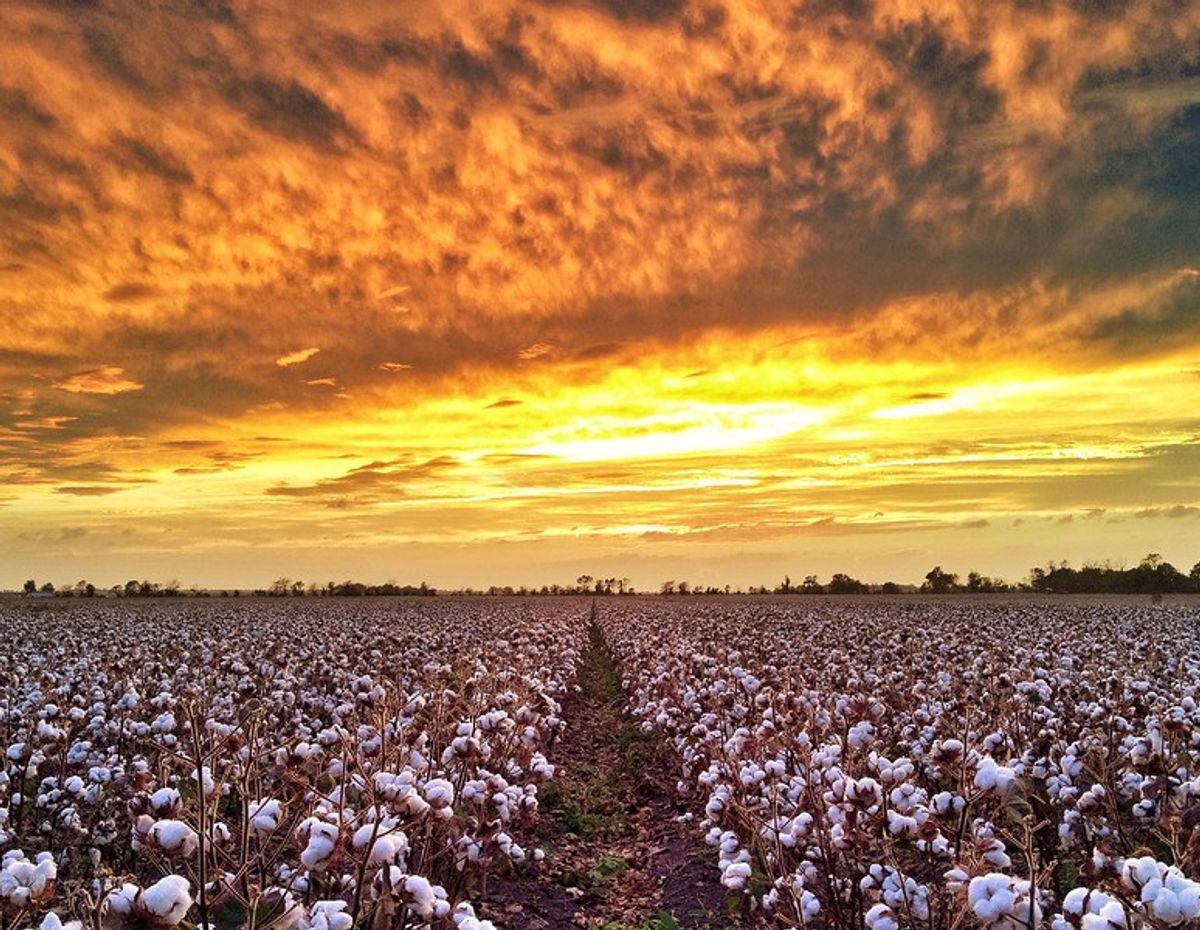 Five Things To Know About The Delta