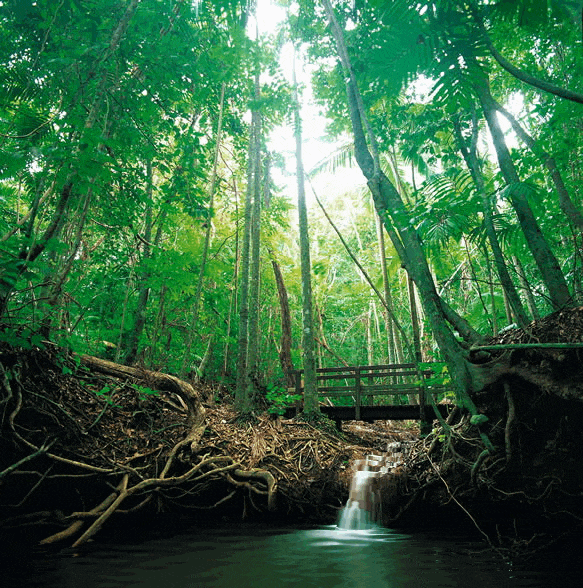 7 Reasons To Love The Rain | The Odyssey Online