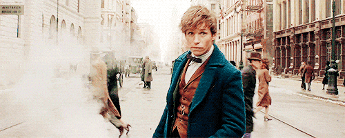 On Newt Scamander And Autistic Representation