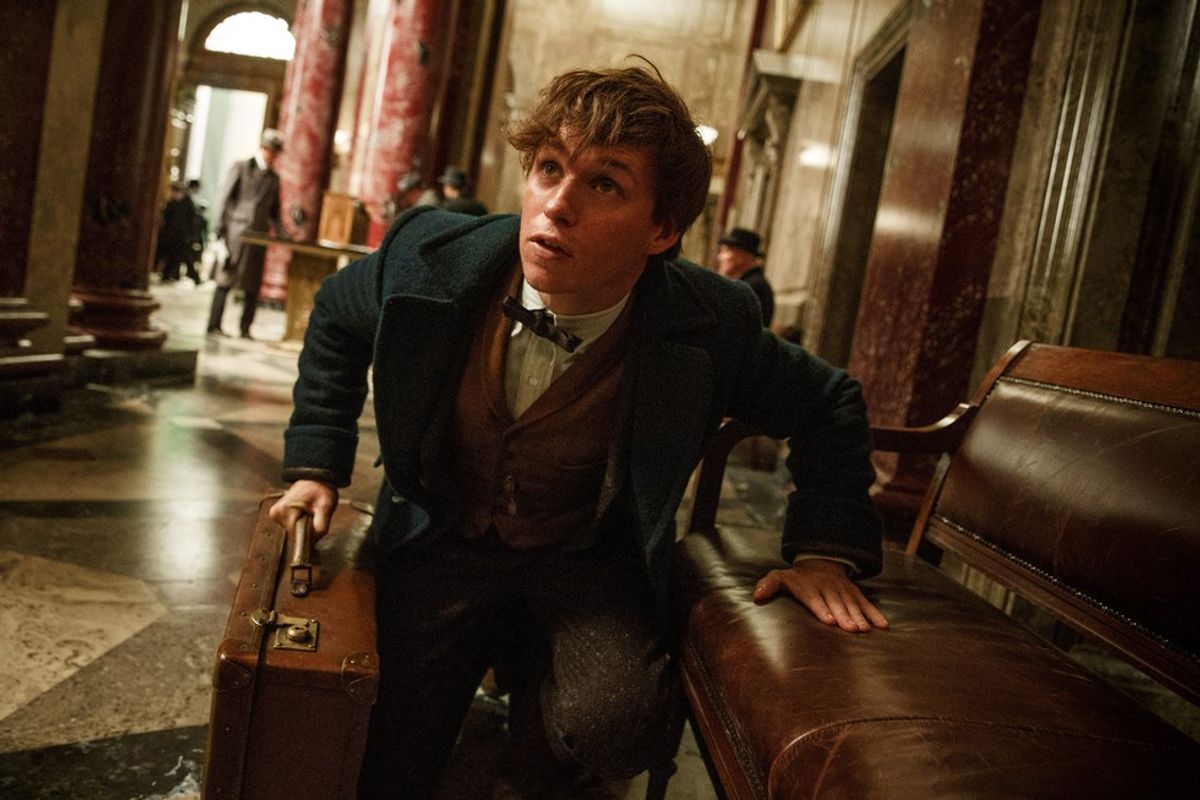 On Newt Scamander And Autistic Representation