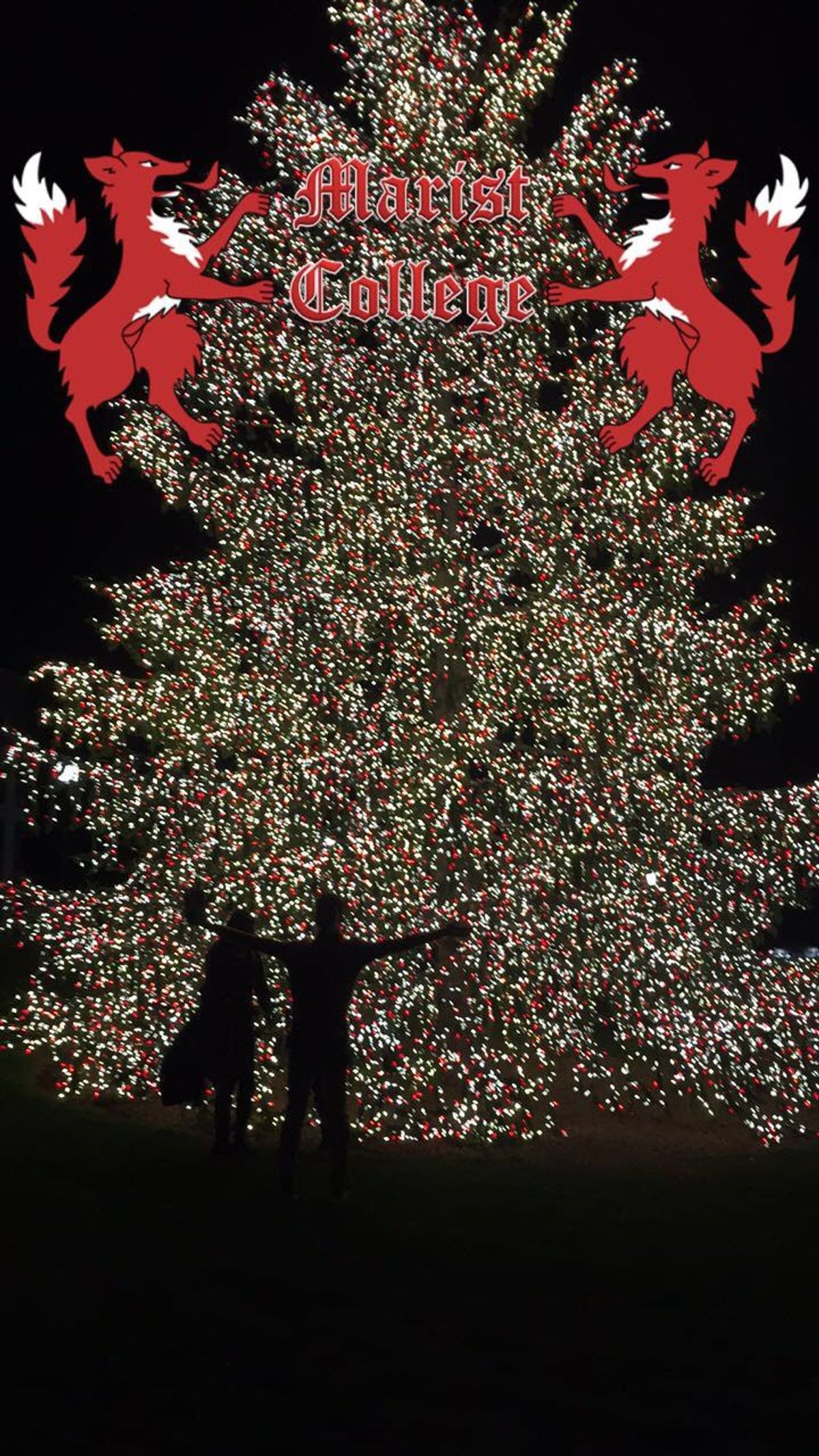 The Marist Tree Is Officially Lit