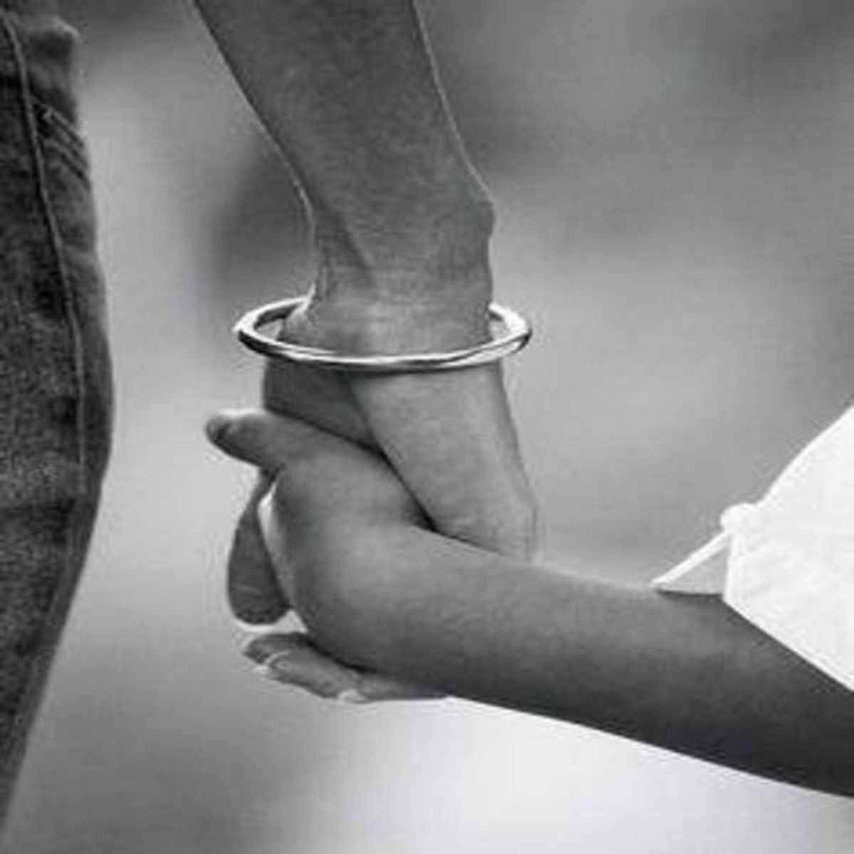 Sly Fox | The Odyssey Online