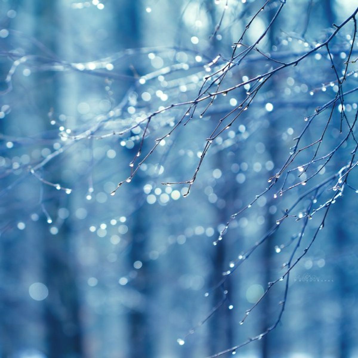 70 Reasons Why Winter Is The Best Season | The Odyssey Online