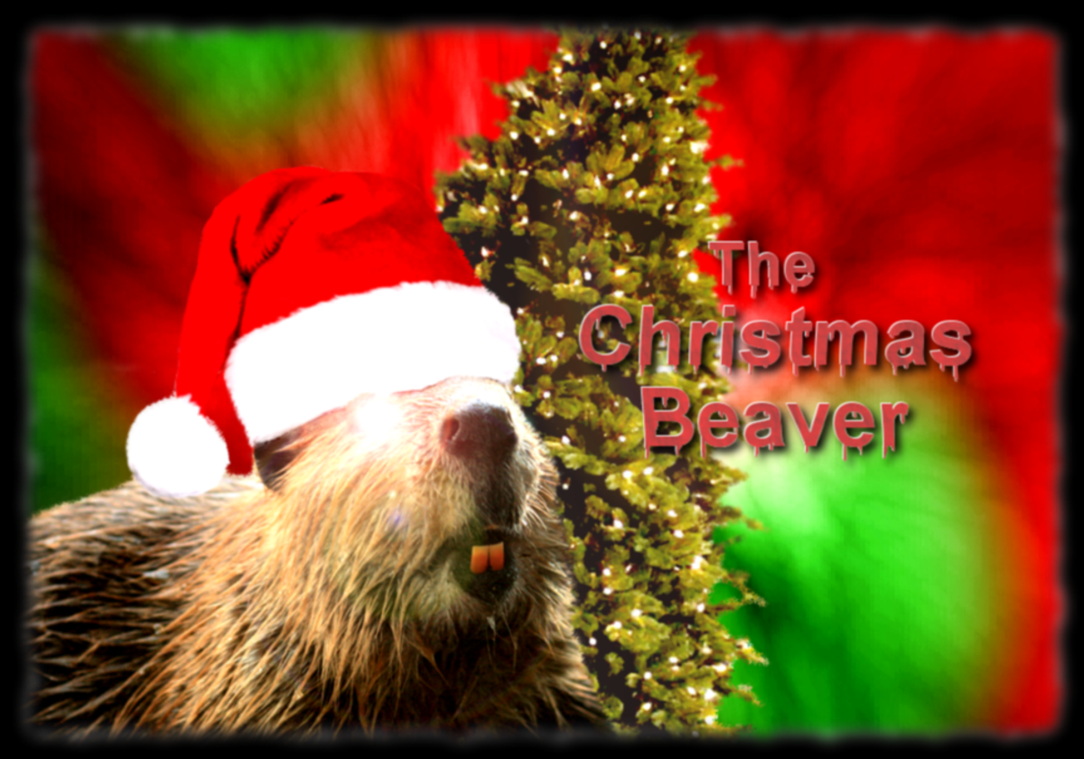 The Christmas Beaver Exists! | The Odyssey Online