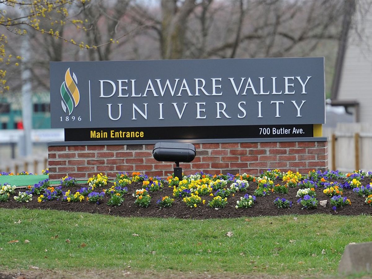 20 Questions For DelVal | The Odyssey Online