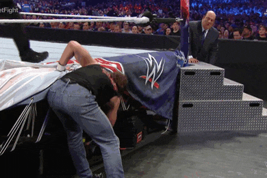 3 Types Of WWE Fans We All Know