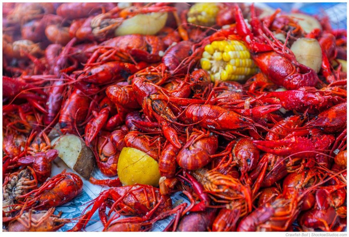10 Weird Facts You Didn't Know About Crawfish | The Odyssey Online