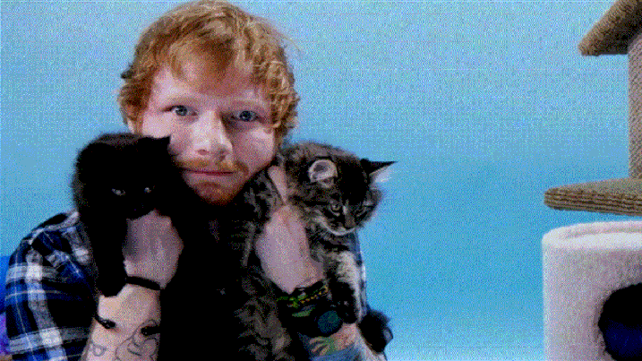 20 Reasons to Love Ed Sheeran