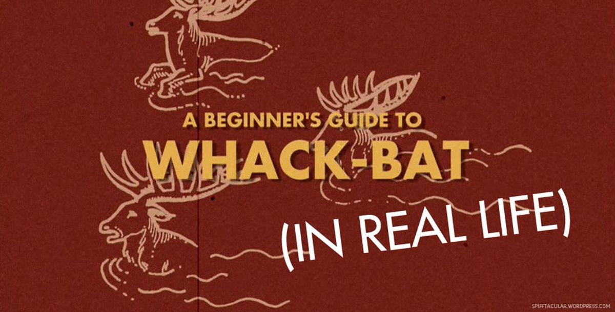 How to Play Whack-Bat | The Odyssey Online