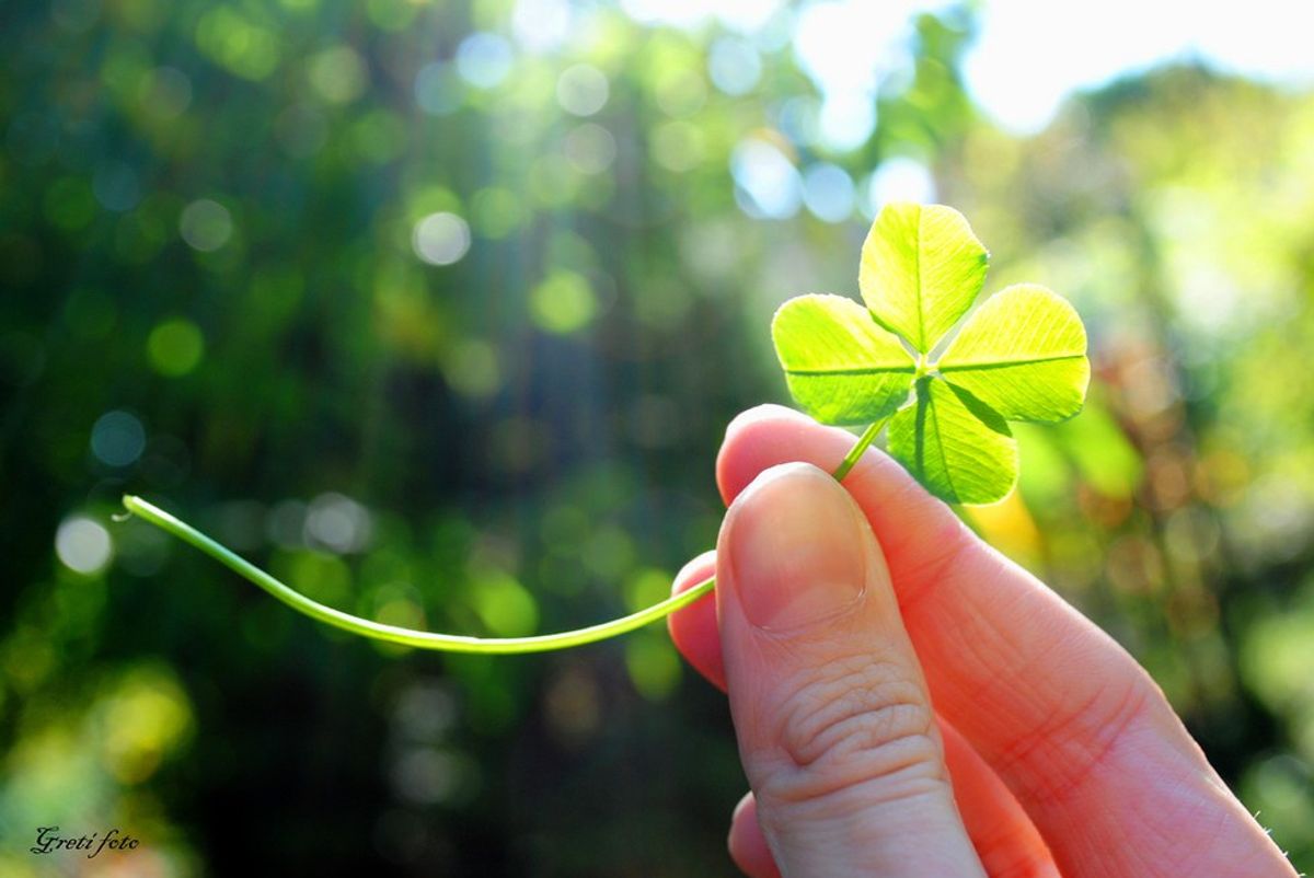 What is Luck? | The Odyssey Online